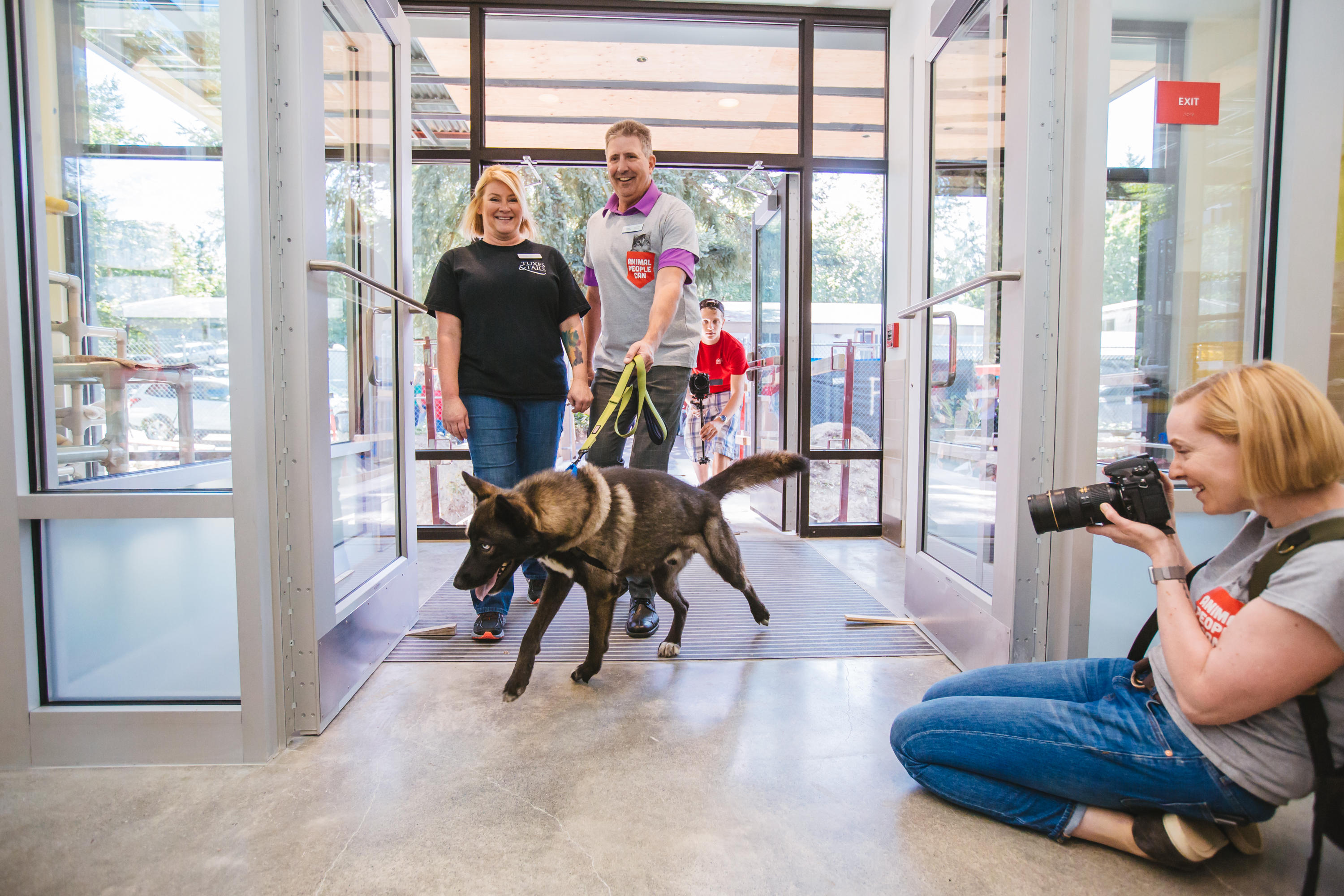 Photos: Rescue pets make the move to brand new $28M Humane Society ...