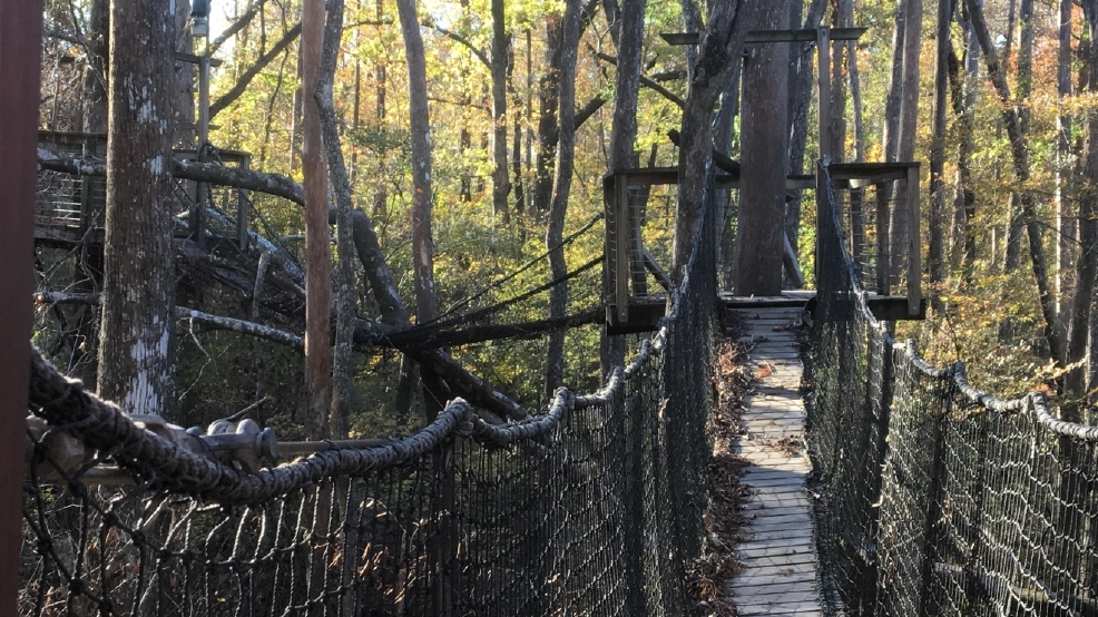 Trails and canopy walk at Lynches River County Park still closed after ...