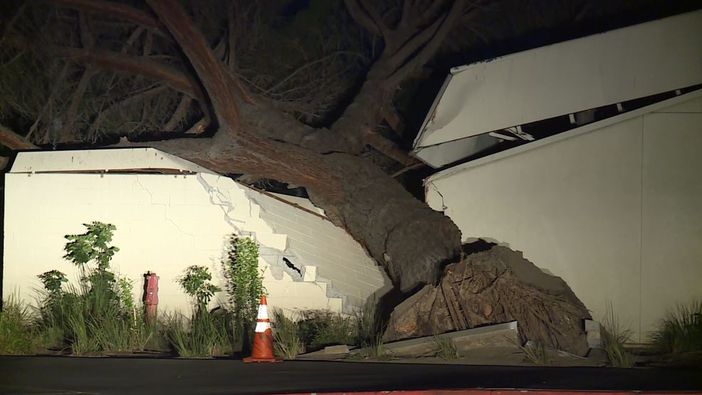 45 MPH wind gusts causing major damage and hazards | KMPH